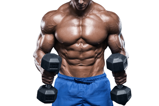 The Ultimate Hypertrophy Training Workout Plan For Beginner To Advanced ...