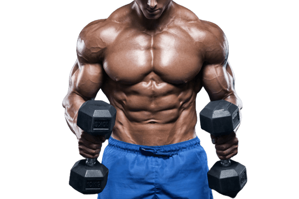 The Ultimate Hypertrophy Training Workout Plan For Beginner To Advanced ...