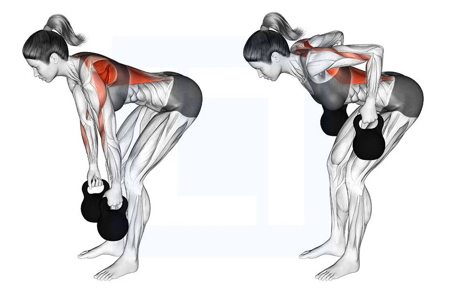 Build Your Back with Kettlebell Bent Over Row: Technique & Benefits